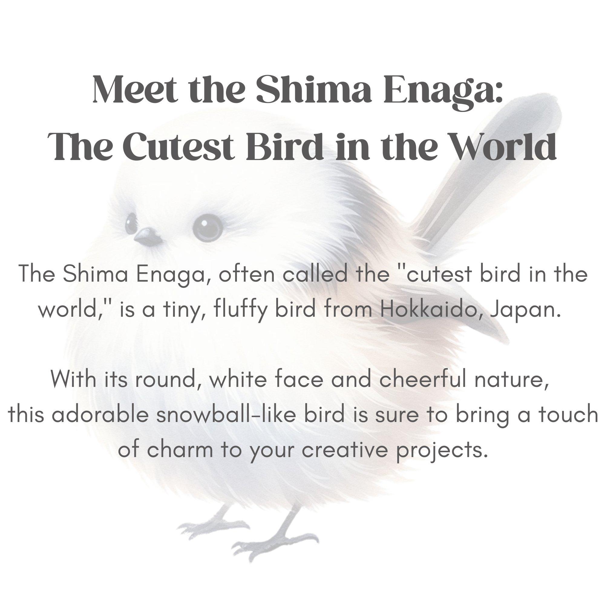 Snow Fairy Bird Clipart | Japanese Birds | Shima Enaga | Single Clip ...