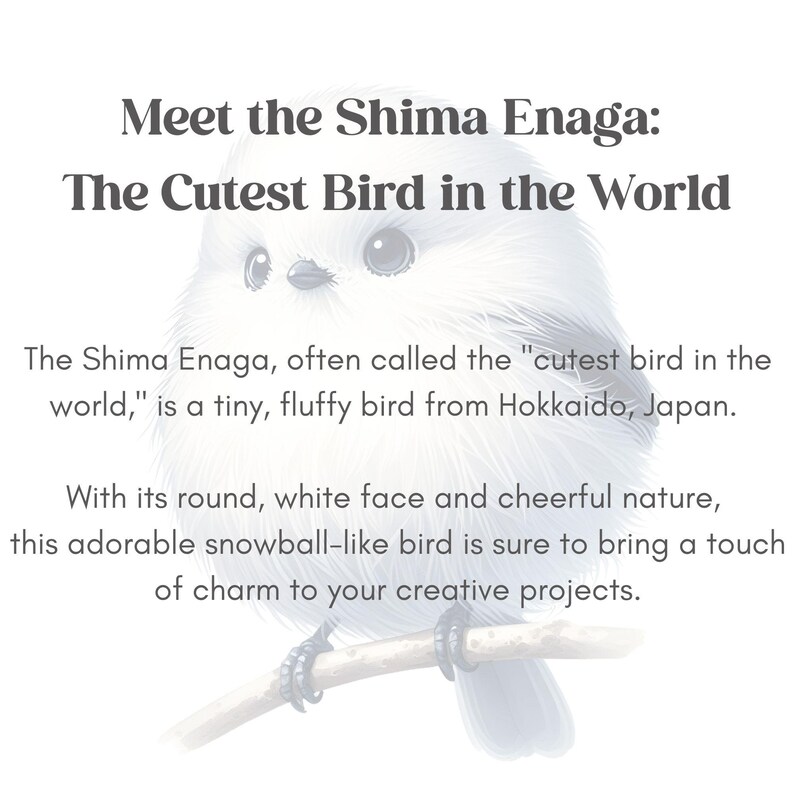 Cute Watercolor Clipart Japanese Birds Shima Enaga Single Clip Art ...