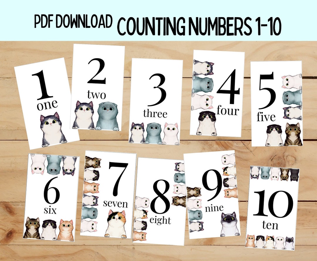 Number Flashcards for Kids Printable Flashcards for Kids - Etsy