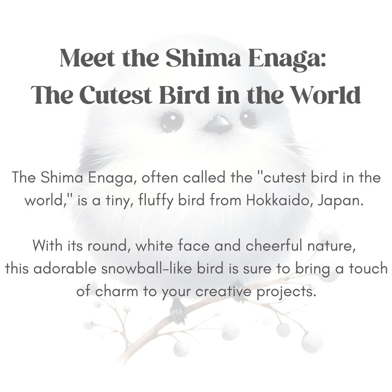 Cute Watercolor Clipart Japanese Birds Shima Enaga Single Clip Art Japanese Bird Print Greeting ...