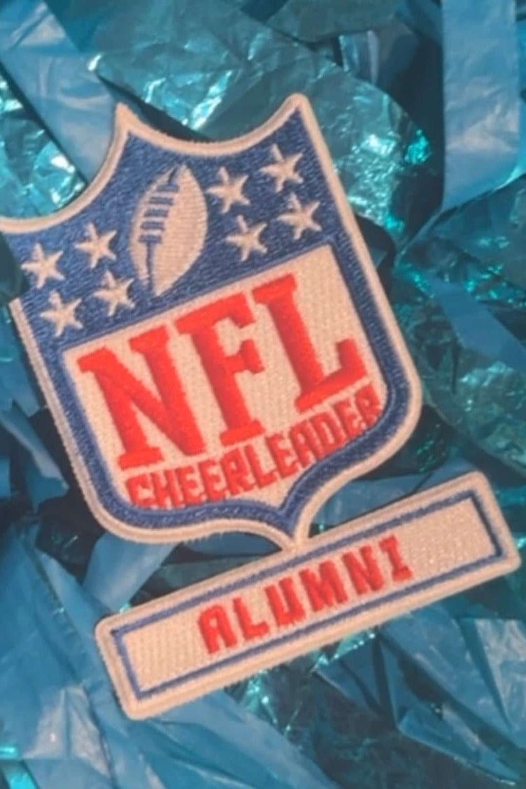 PRO Cheerleader Alumni Iron on Patch - Etsy