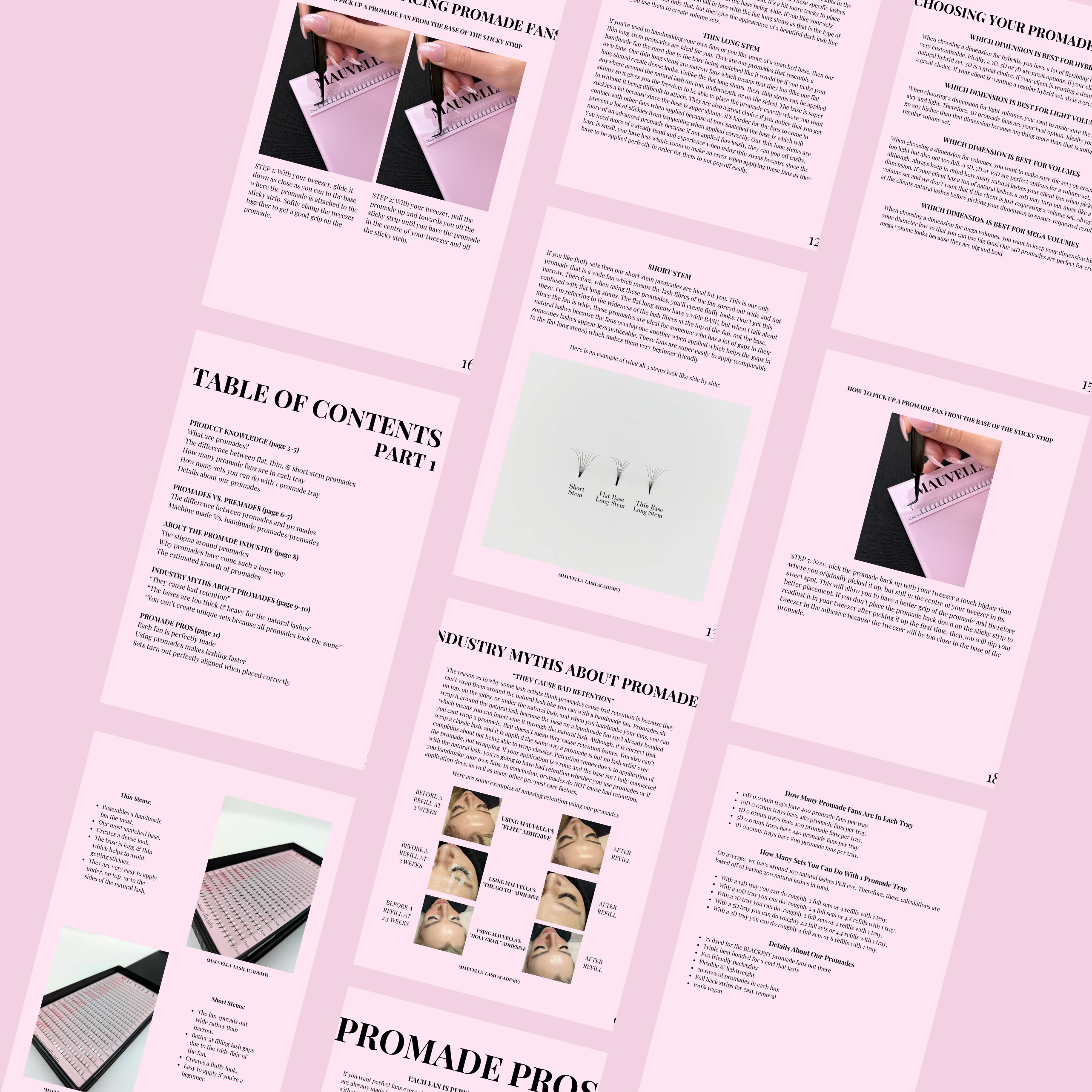 Promade Editable/resellable E-book, How to Lash Using Promades, All ...