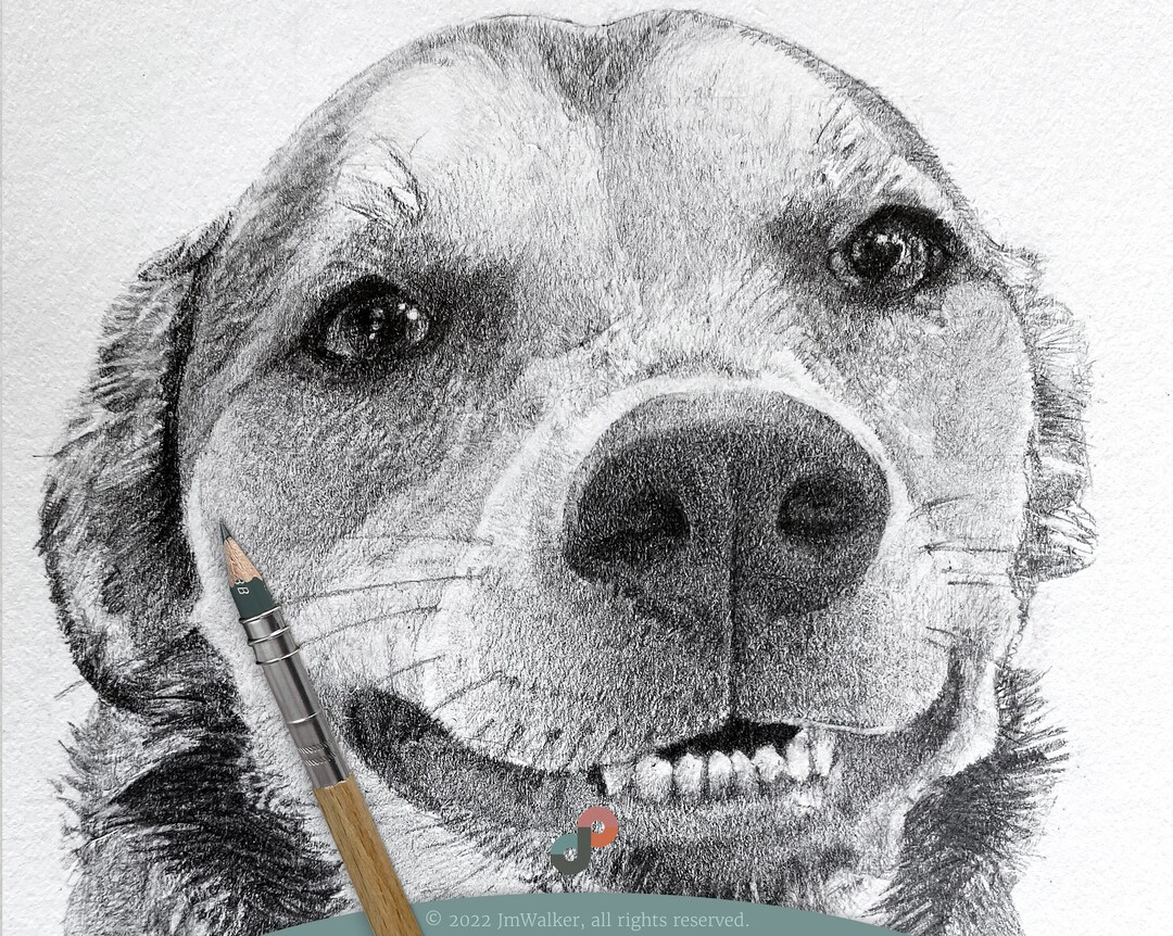 Custom Dog Memorial Drawing From Photo - Etsy