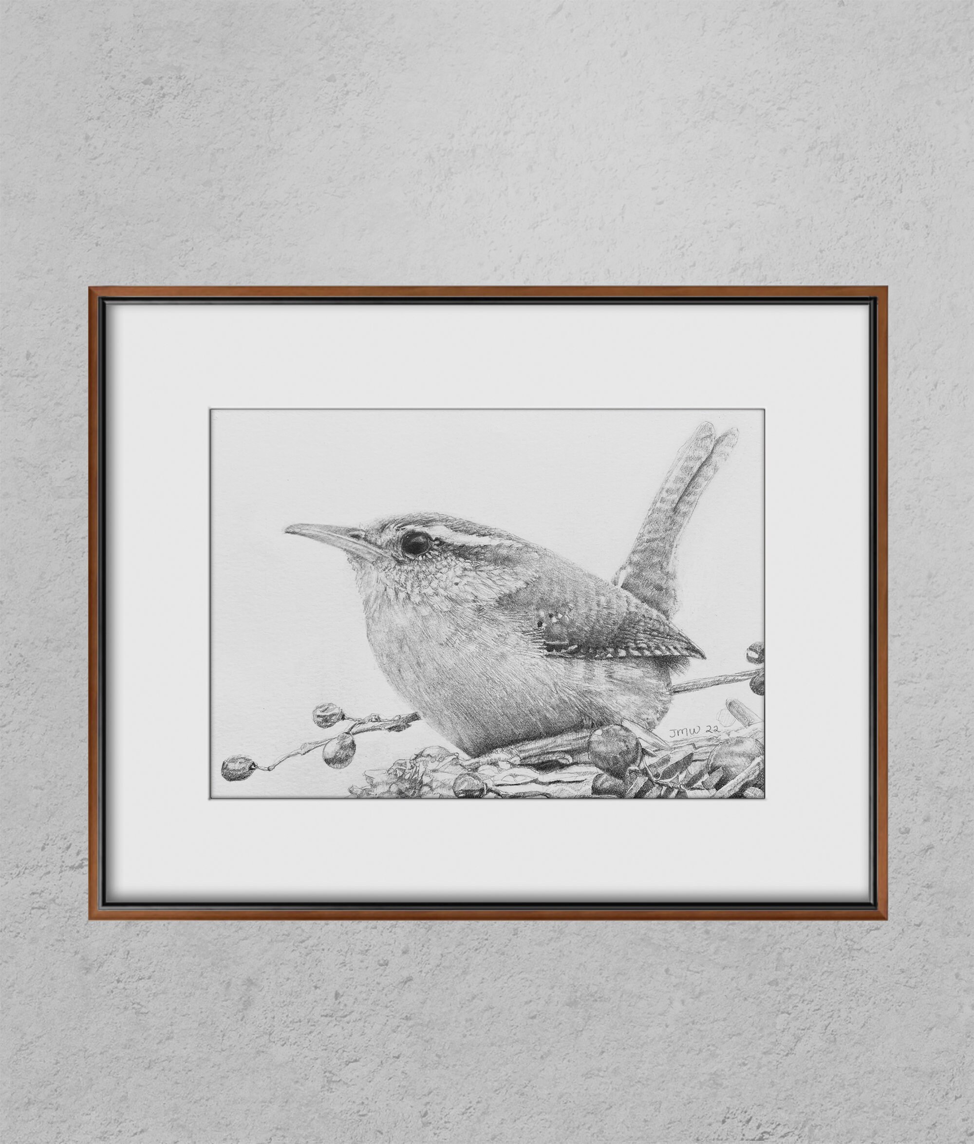 House Wren Original Pencil Drawing - Etsy