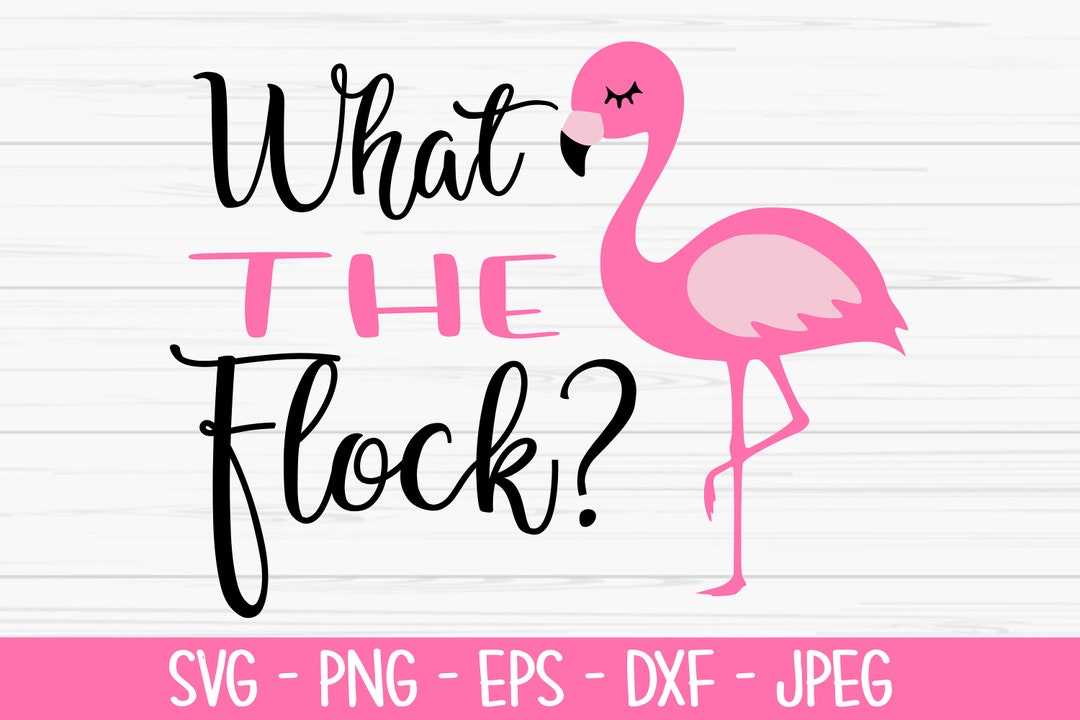 What the Flock? Svg, Summer Svg, Flamingo Svg, Dxf, Png, Eps, Jpeg, Cut ...