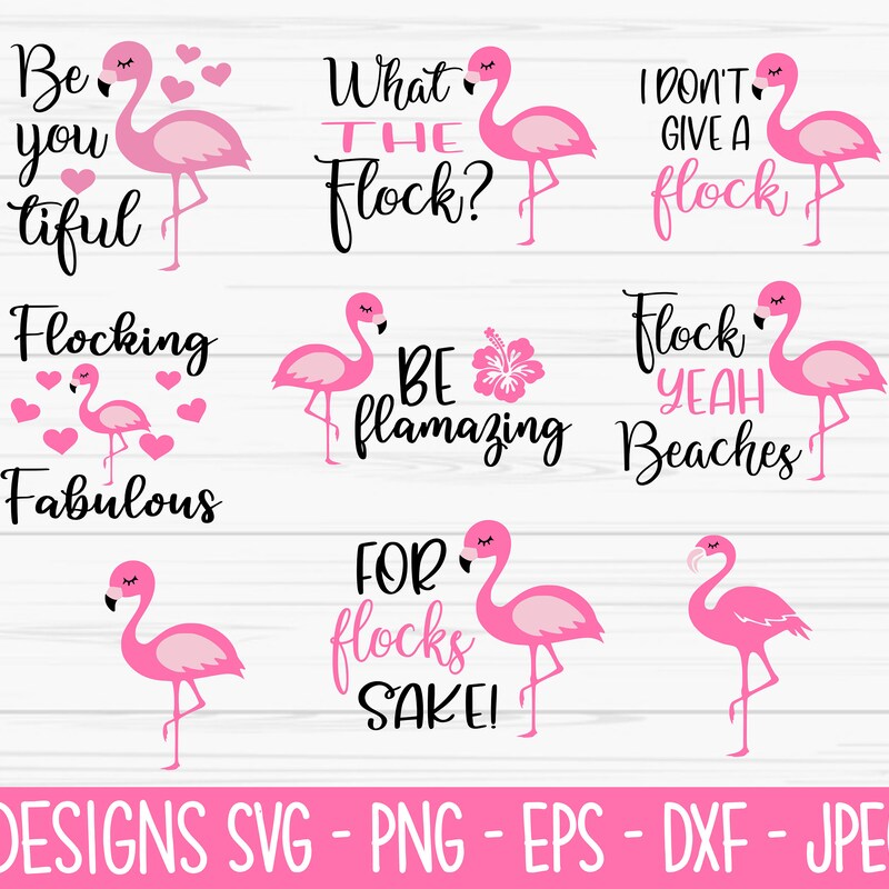 Flamingo Svg - Etsy