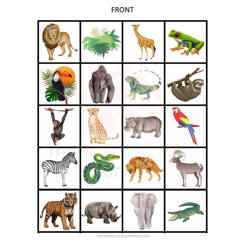 Jungle Life Memory Game for Kids, Matching Pictures, Jungle Animals ...