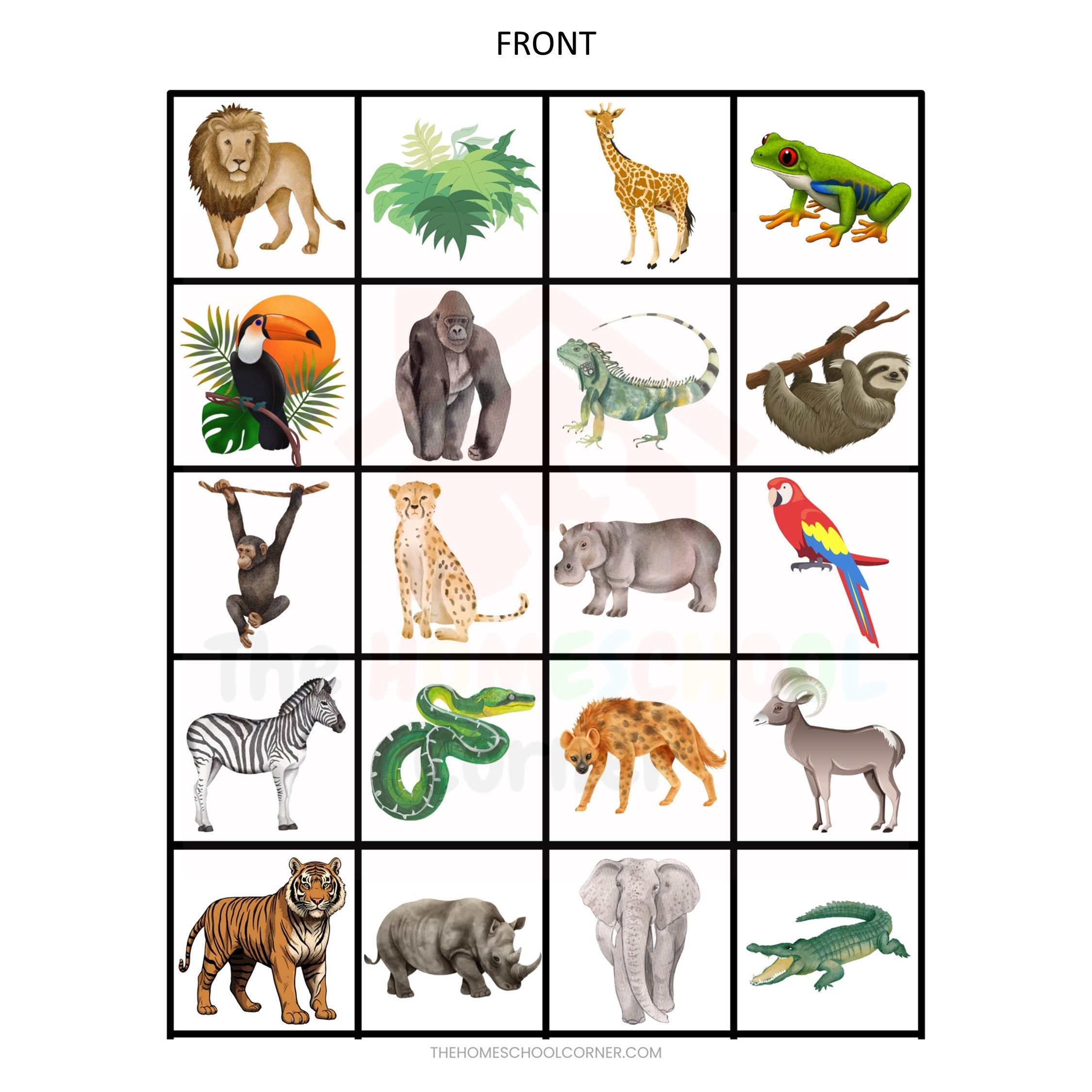 Jungle Life Memory Game for Kids, Matching Pictures, Jungle Animals ...