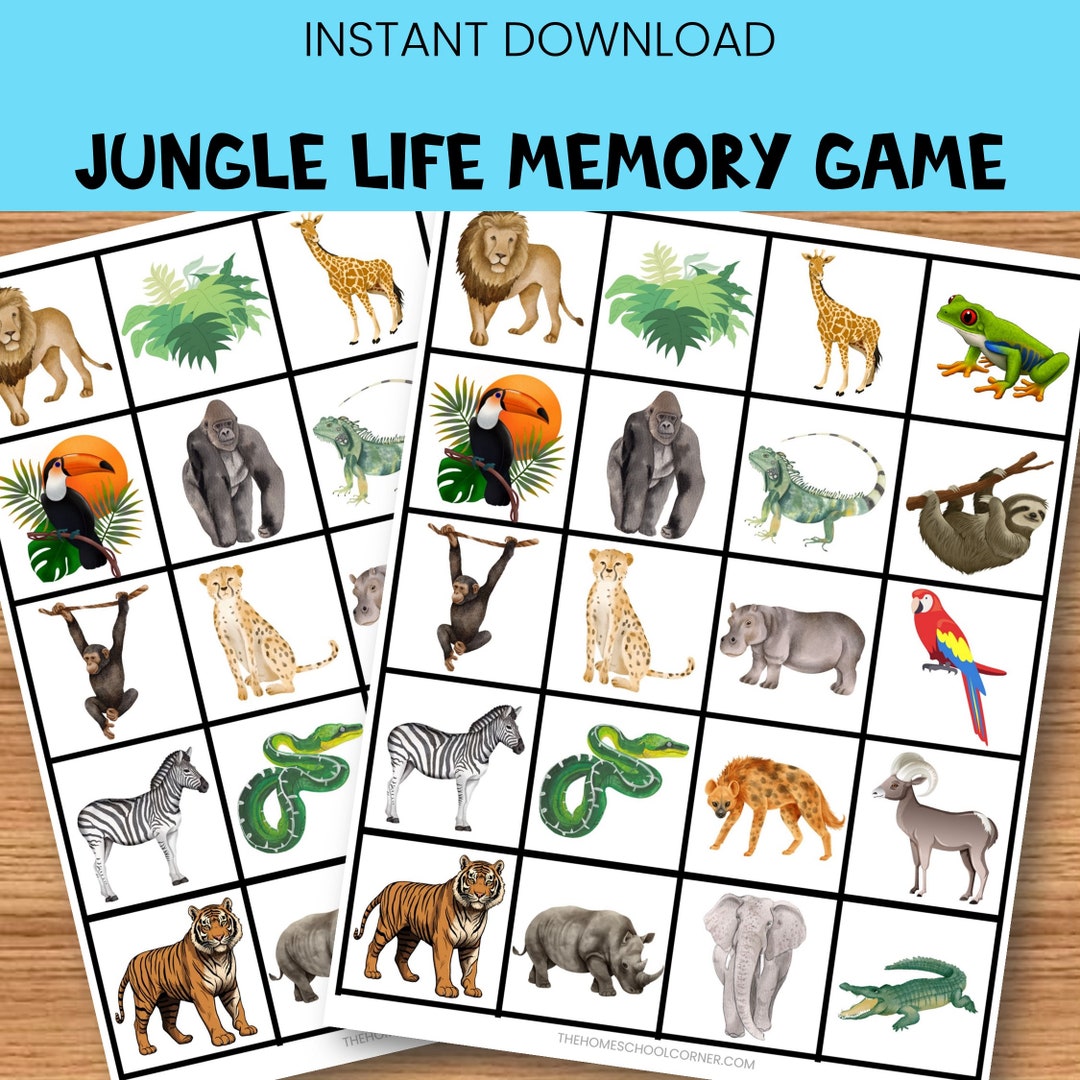 Jungle Life Memory Game for Kids, Matching Pictures, Jungle Animals ...