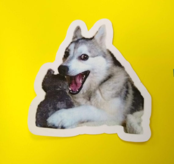 Pun Dog Husky