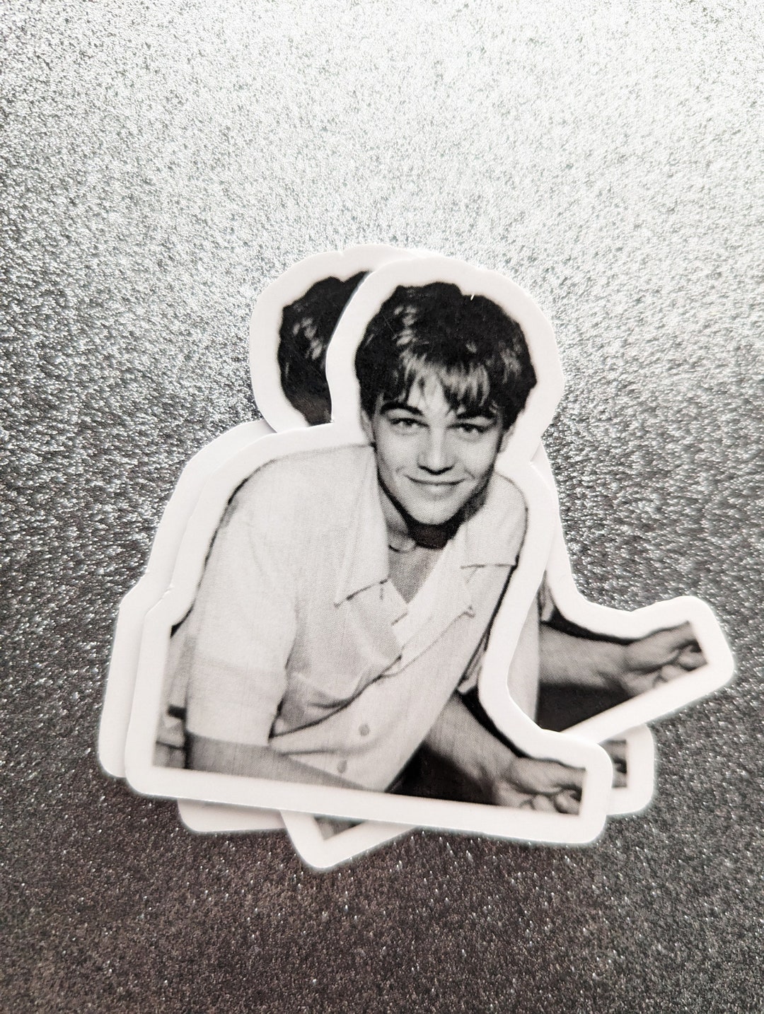 Leo Sticker 90s Leonardo Dicaprio Laptop Sticker Water Bottle Sticker ...