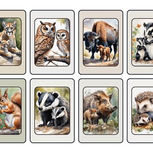 Baby Forest Animal Flashcards, Learning Flashcards for Kids, Digital ...