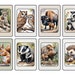 Baby Forest Animal Flashcards, Learning Flashcards for Kids, Digital ...