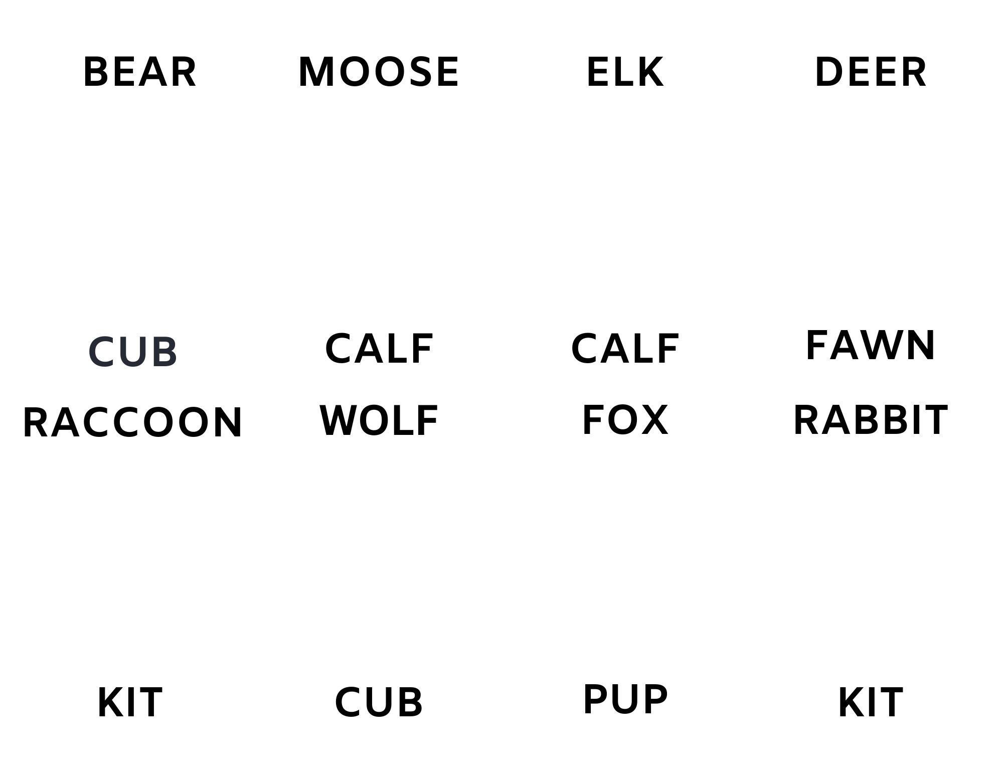 Baby Forest Animal Flashcards, Learning Flashcards for Kids, Digital ...