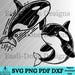 Whale Outline Bundle SVG PNG Pdf and Dxf Files Instant Download ...