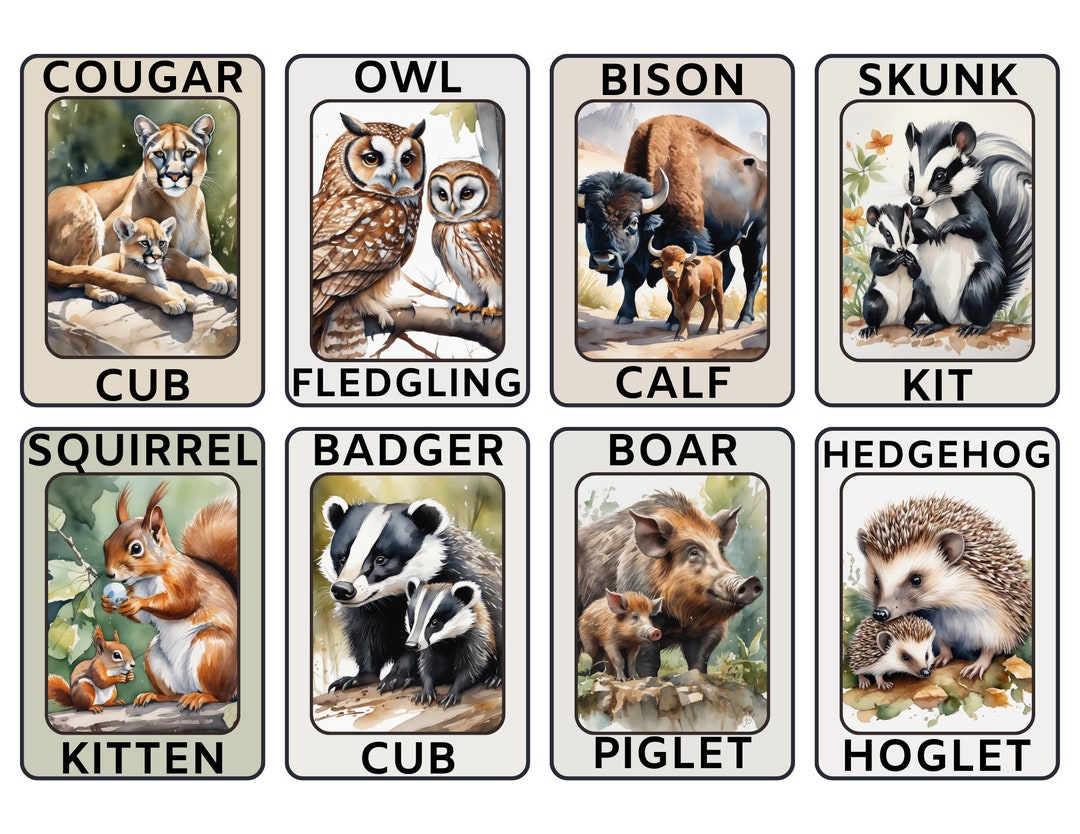 Baby Forest Animal Flashcards, Learning Flashcards for Kids, Digital ...