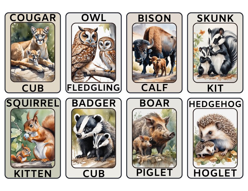 Baby Forest Animal Flashcards, Learning Flashcards for Kids, Digital ...