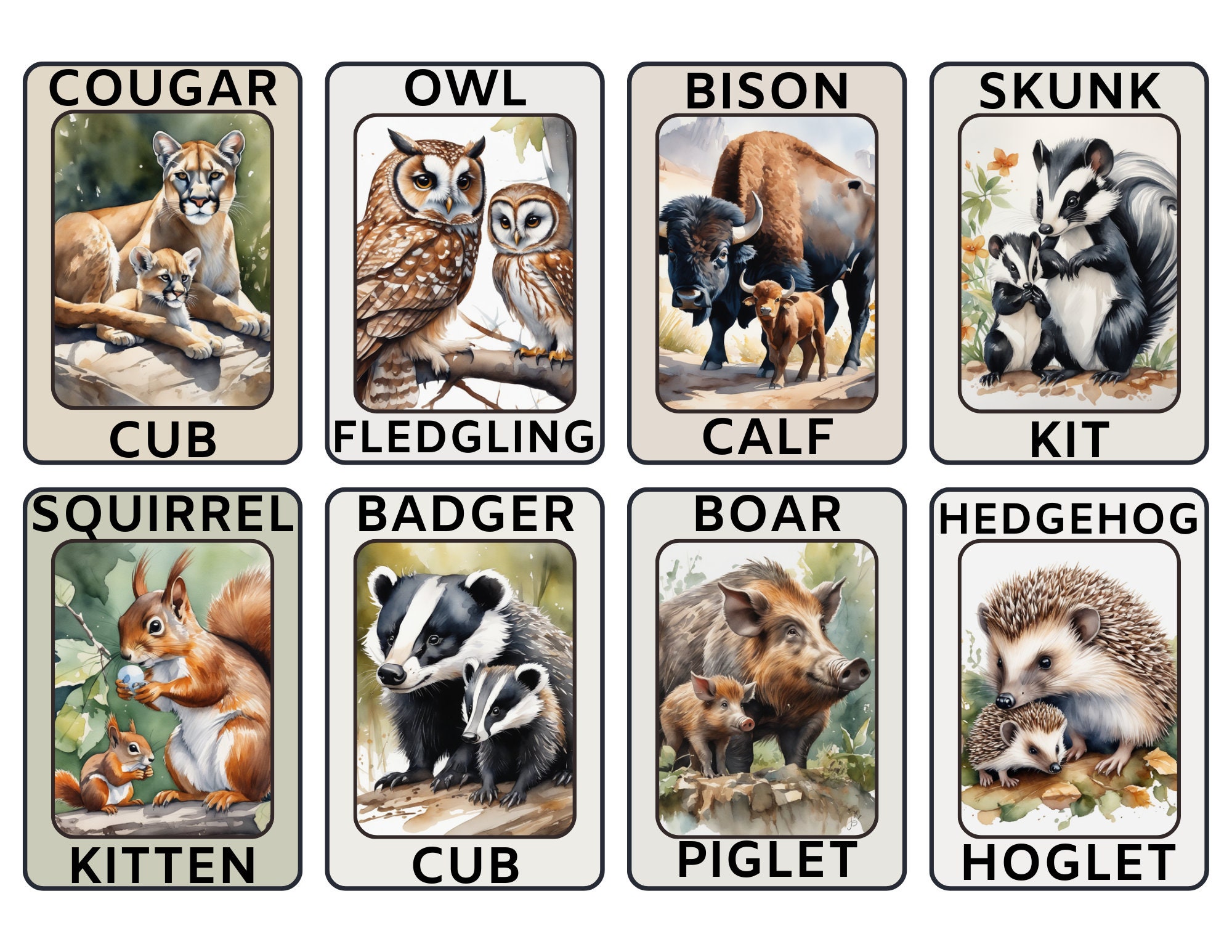 Baby Forest Animal Flashcards, Learning Flashcards for Kids, Digital ...