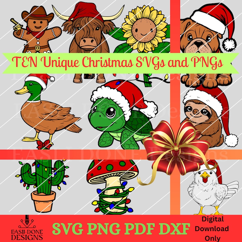 Turtle Cactus - Etsy