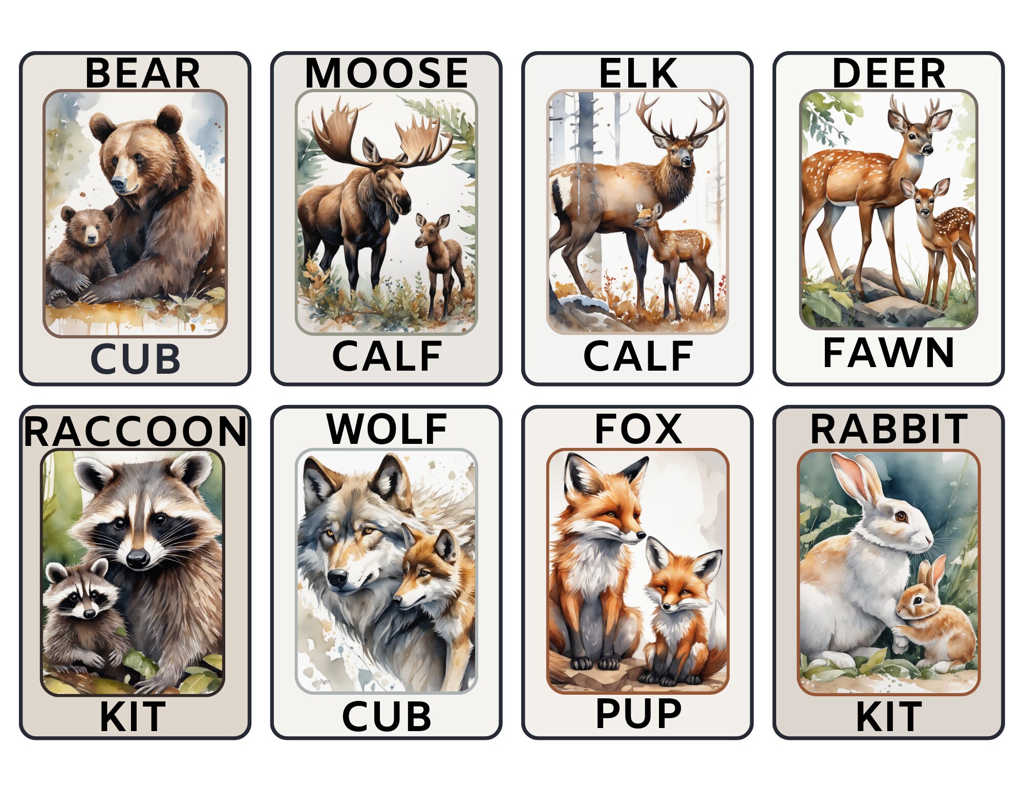 Baby Forest Animal Flashcards, Learning Flashcards for Kids, Digital ...