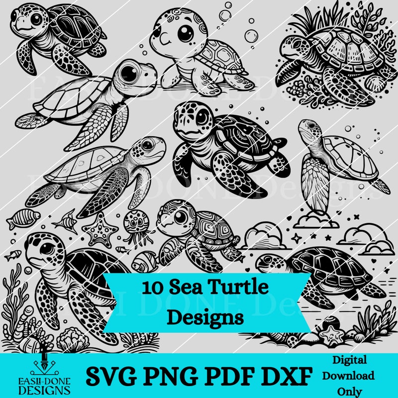 Cartoon Turtle Family Png - Etsy