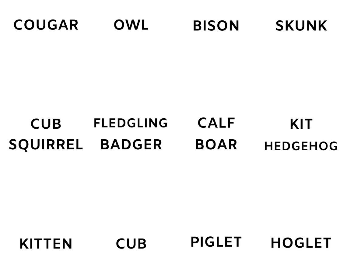 Baby Forest Animal Flashcards, Learning Flashcards for Kids, Digital ...