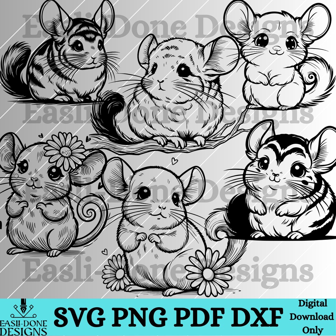 Chinchilla Outline SVG PNG Pdf and Dxf Files Baby Chinchilla Svg Bundle ...