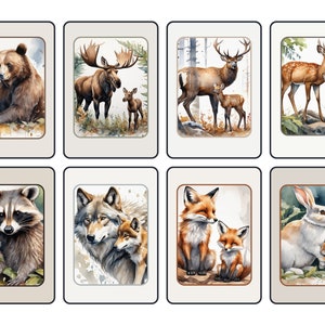 Baby Forest Animal Flashcards, Learning Flashcards for Kids, Digital ...