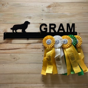 Award Ribbon Holder, Award Ribbon Holder, Award Display Rack, Wall ...