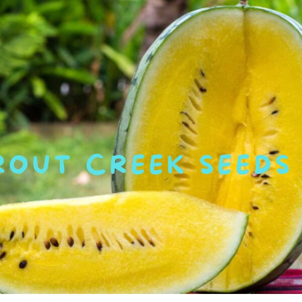 Watermelon - Etsy