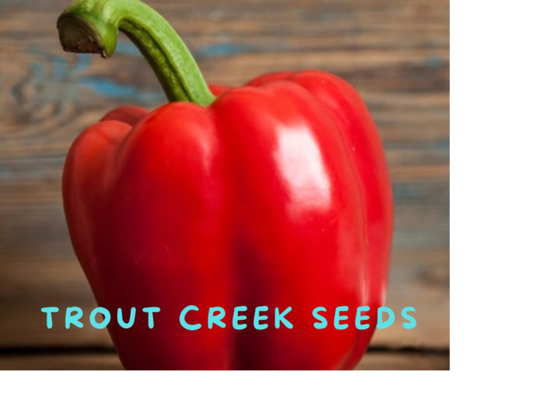 50 or 100 Heirloom Big Red Bell Pepper Seeds, Non Gmo, Open Pollinated ...