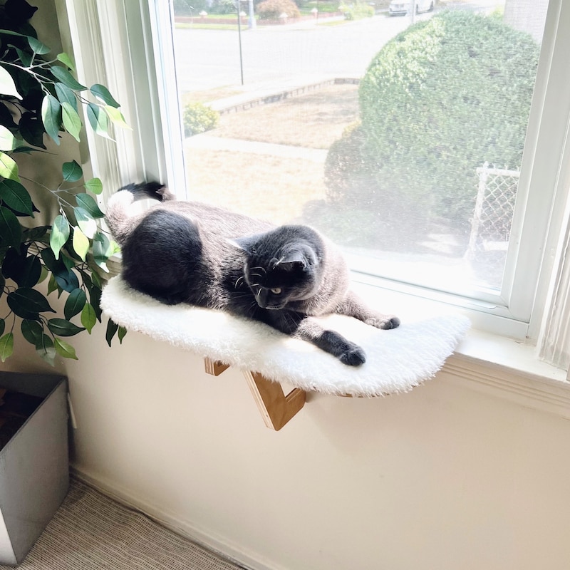 Cat Window Perch - Etsy