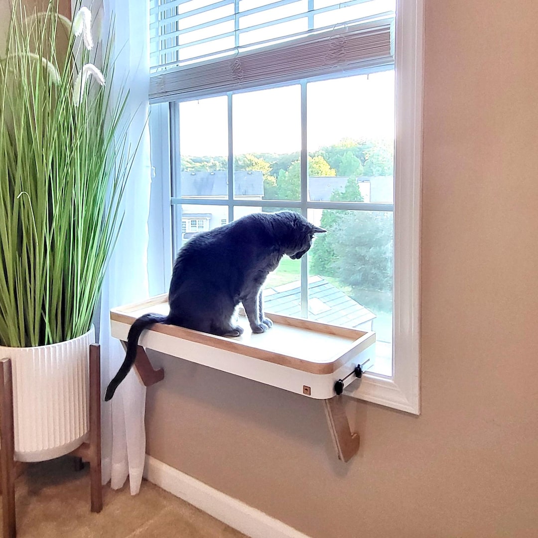 Colorful Cat Window Perch, No Tools, Sturdy Legs, Easy 1-minute Install ...