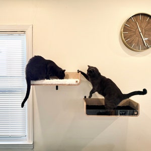 Modern Wall Mounted Cat Shelf, Cat Climbing Shelf - Etsy