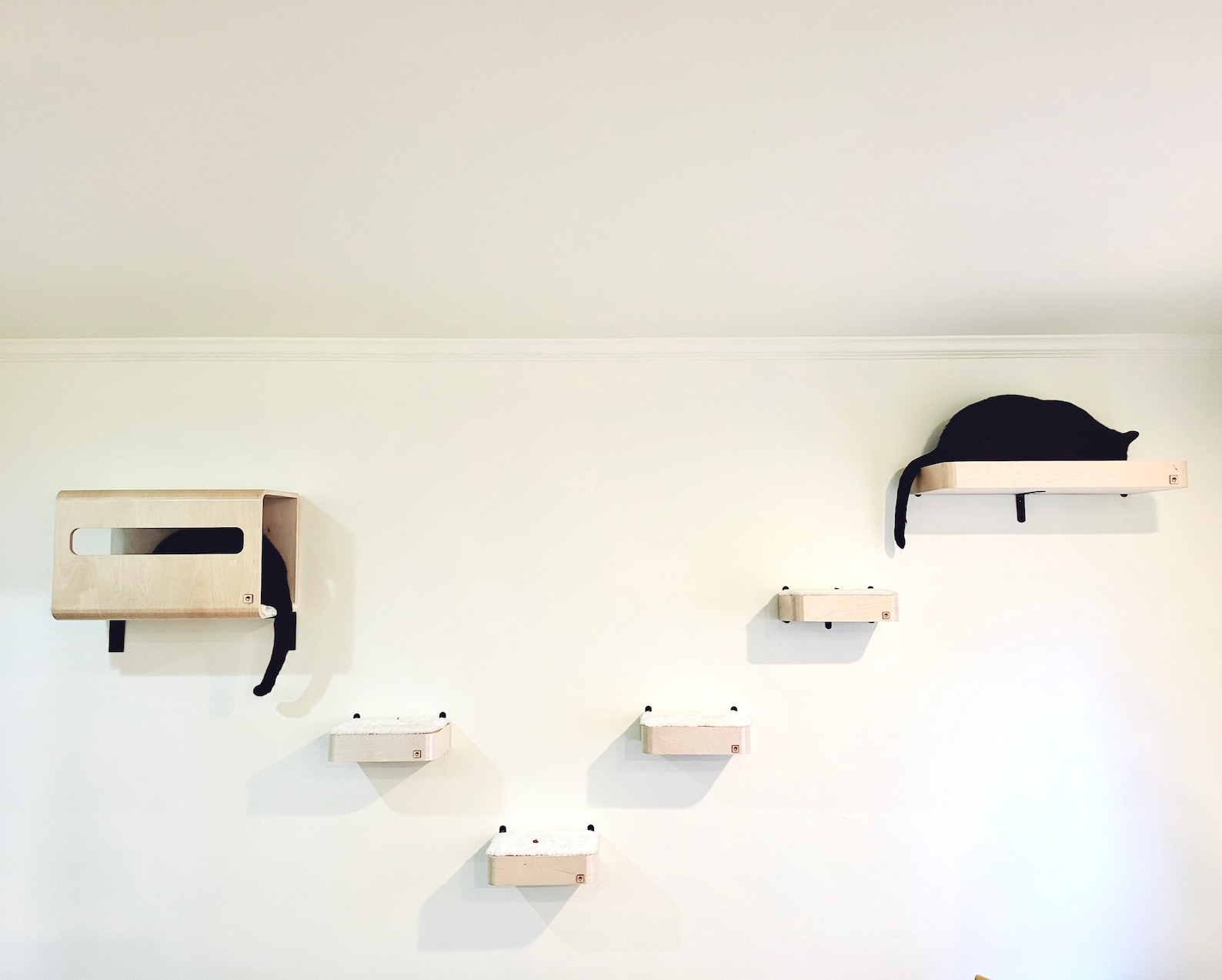 Cat Wall Steps Cat Stairs Cat Shelf Wood Cat Climbing - Etsy