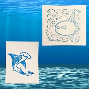 Devil Night Dancing | Butterfly | Cider Apple | Ocean Hammerhead Shark ...