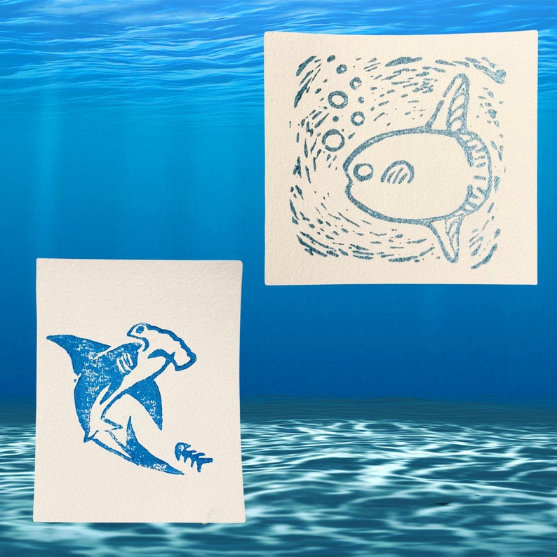 Devil Night Dancing | Butterfly | Cider Apple | Ocean Hammerhead Shark ...