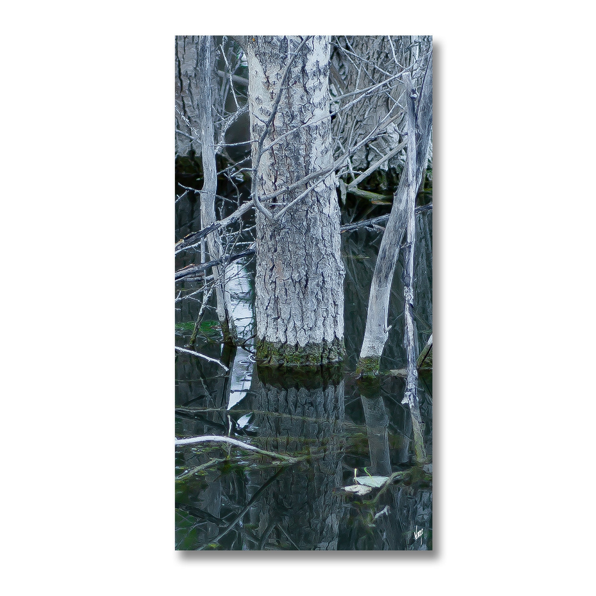 LIMITED EDITION PRINT Silver Tree Reflections in Water - Etsy