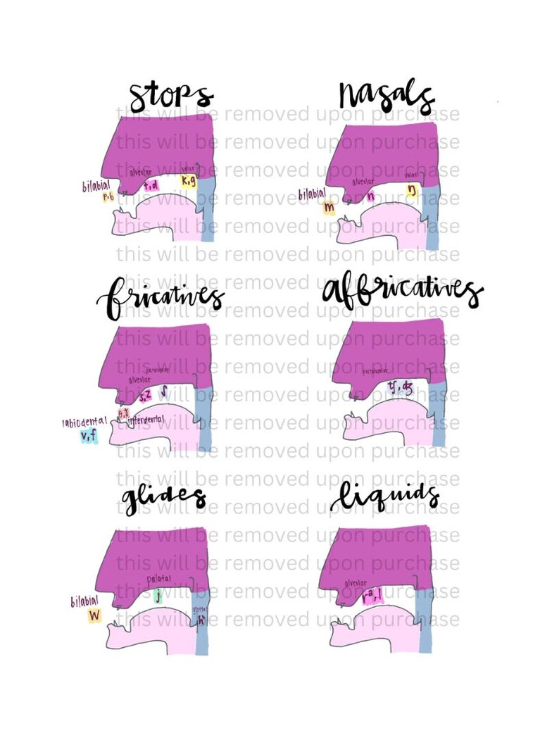 Phonological Manner and Placement Chart SLP Speech Language Pathology ...