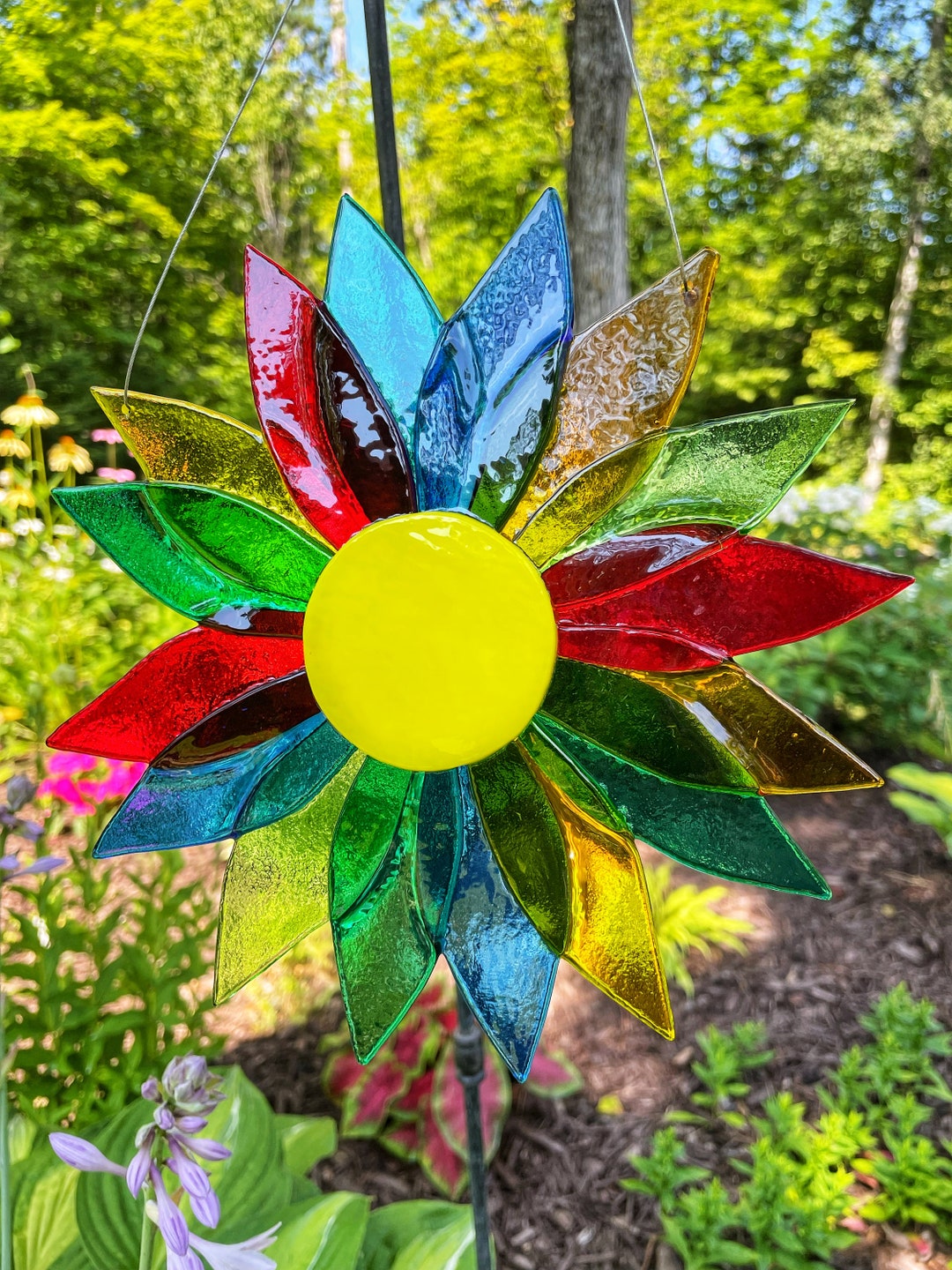 Multi-colored Sunflowers - Etsy