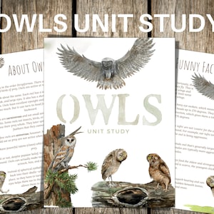 OWLS Unit Study Life Cycle Anatomy Nature Study Science - Etsy