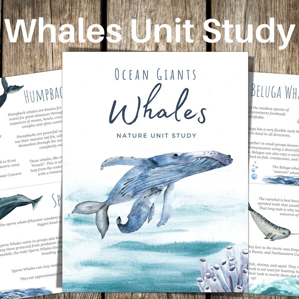 Whales - Etsy
