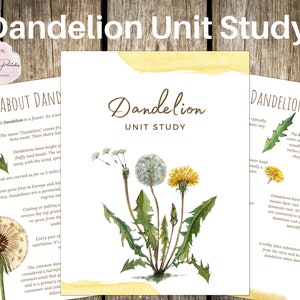 DANDELION Unit Study Life Cycle Anatomy Nature Study - Etsy Canada