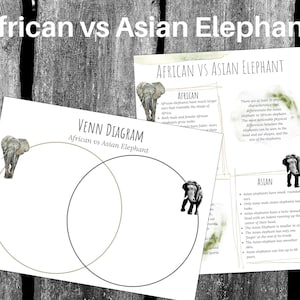 AFRICAN Vs ASIAN Elephant Venn Diagram Activity, Homeschool, Montessori ...