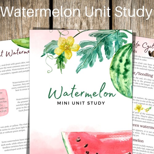 PUMPKIN Unit Study Life Cycle Anatomy Nature Study - Etsy