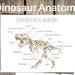 DINOSAUR Anatomy Poster and Labeling Activity Homeschool - Etsy