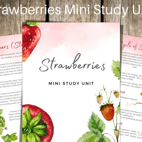 BEACH Unit Study Anatomy Nature Study Science Handwriting - Etsy