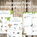 Pond Scavenger Hunt and Pond Walk Observation Activity Pages | Etsy