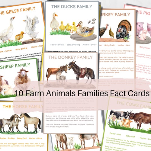 Montessori Farm Printable Pack - Etsy