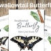 Swallowtail BUTTERFLY Unit Study Life Cycle Anatomy Nature - Etsy